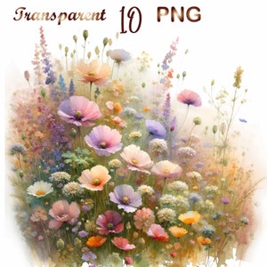 10 Wildflowers Clipart, Wildflowers Wall Art, Wildflowers Png, Pastel ...