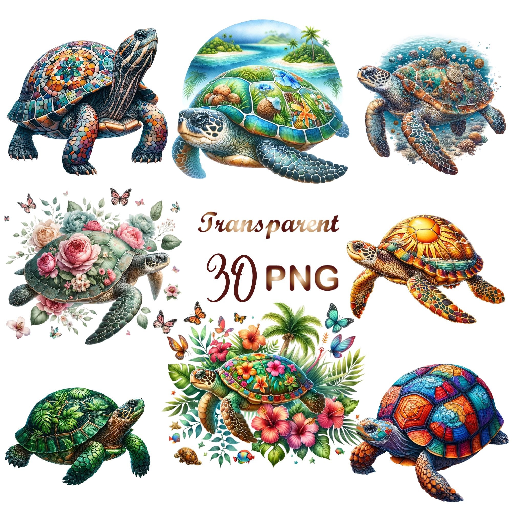 30 PNG Set 1 Tropical Turtles Clipart Bundle, Turtle Illustrations ...