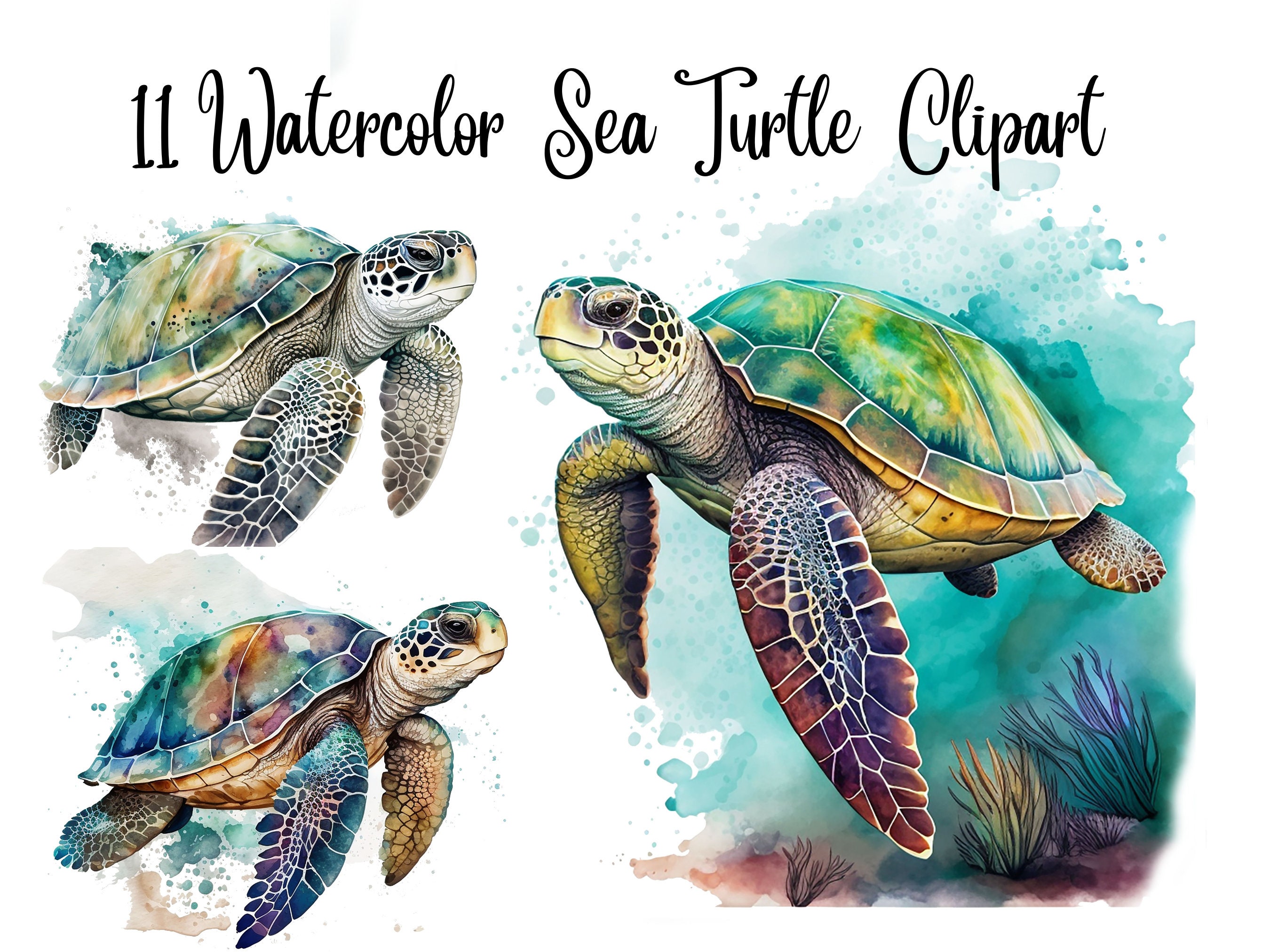 11 Meeresschildkröten-Clipart JPGs kommerzielle Nutzung - Etsy Schweiz