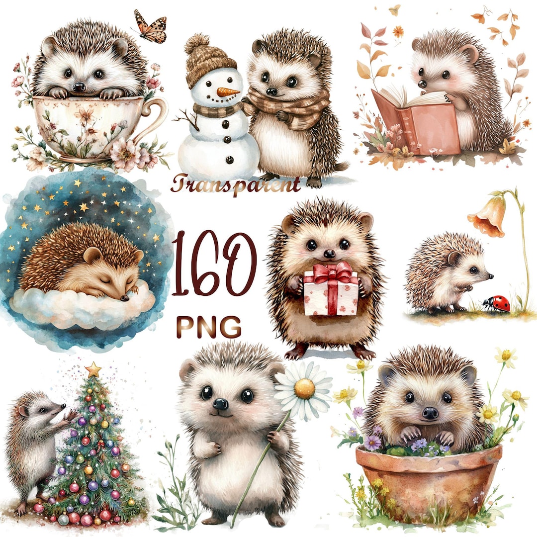 160 PNG Hedgehog Clipart Bundle, Cute Hedgehog Graphics, Illustrations ...