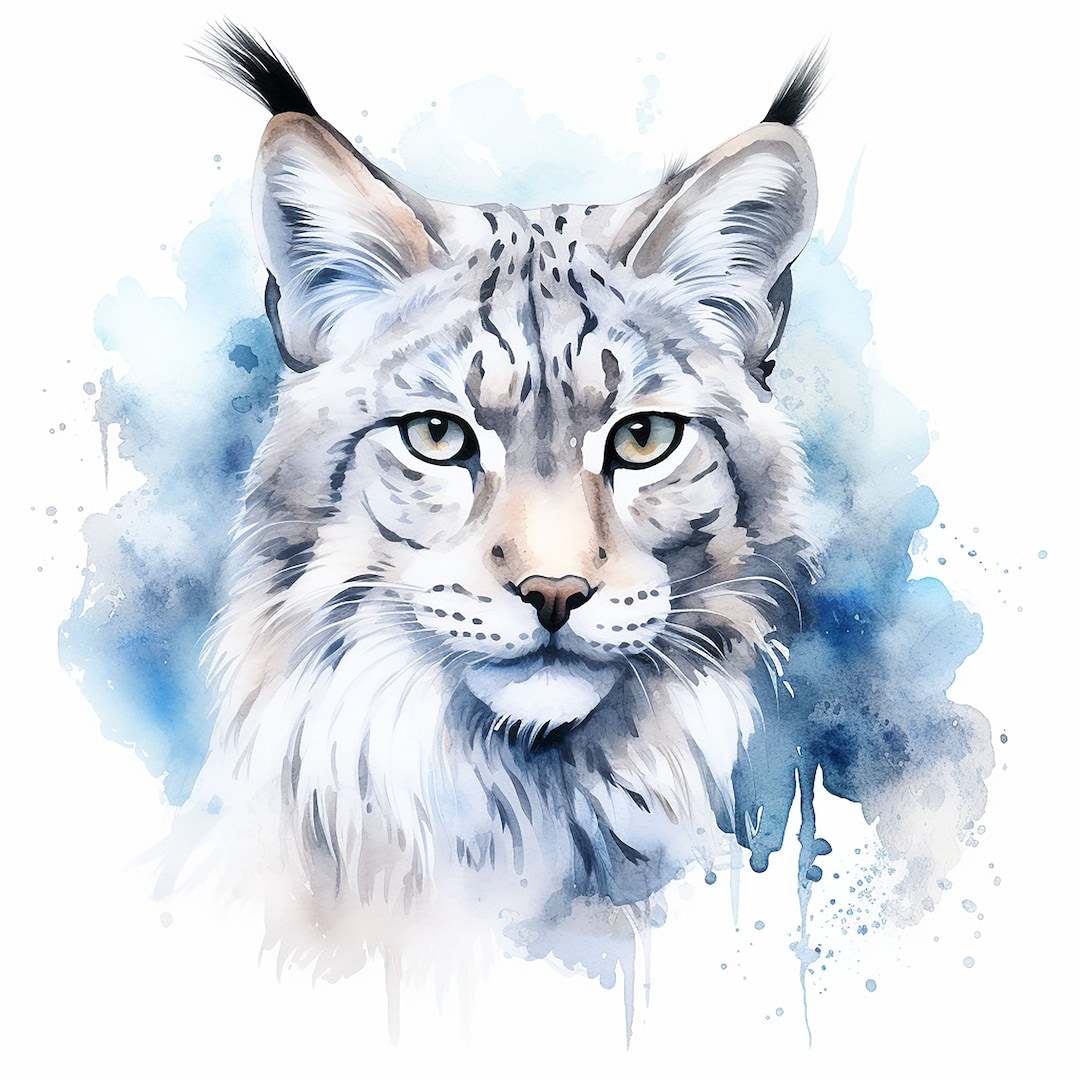 Watercolor Winter Lynx Clipart, Arctic Cat Illustration (digital ...