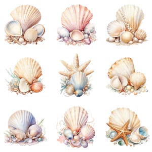 25 Watercolor Seashells Clipart PNG, Seashells Png, Seashells Clipart ...