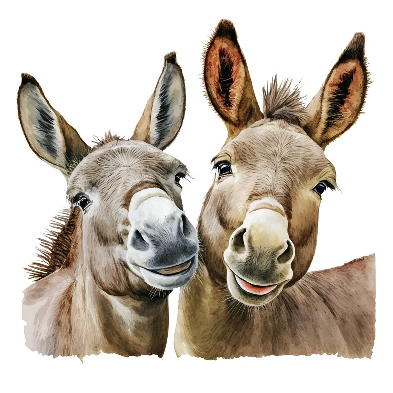 12 Happy Donkeys Clipart Donkey Clipart JPG Commercial - Etsy UK