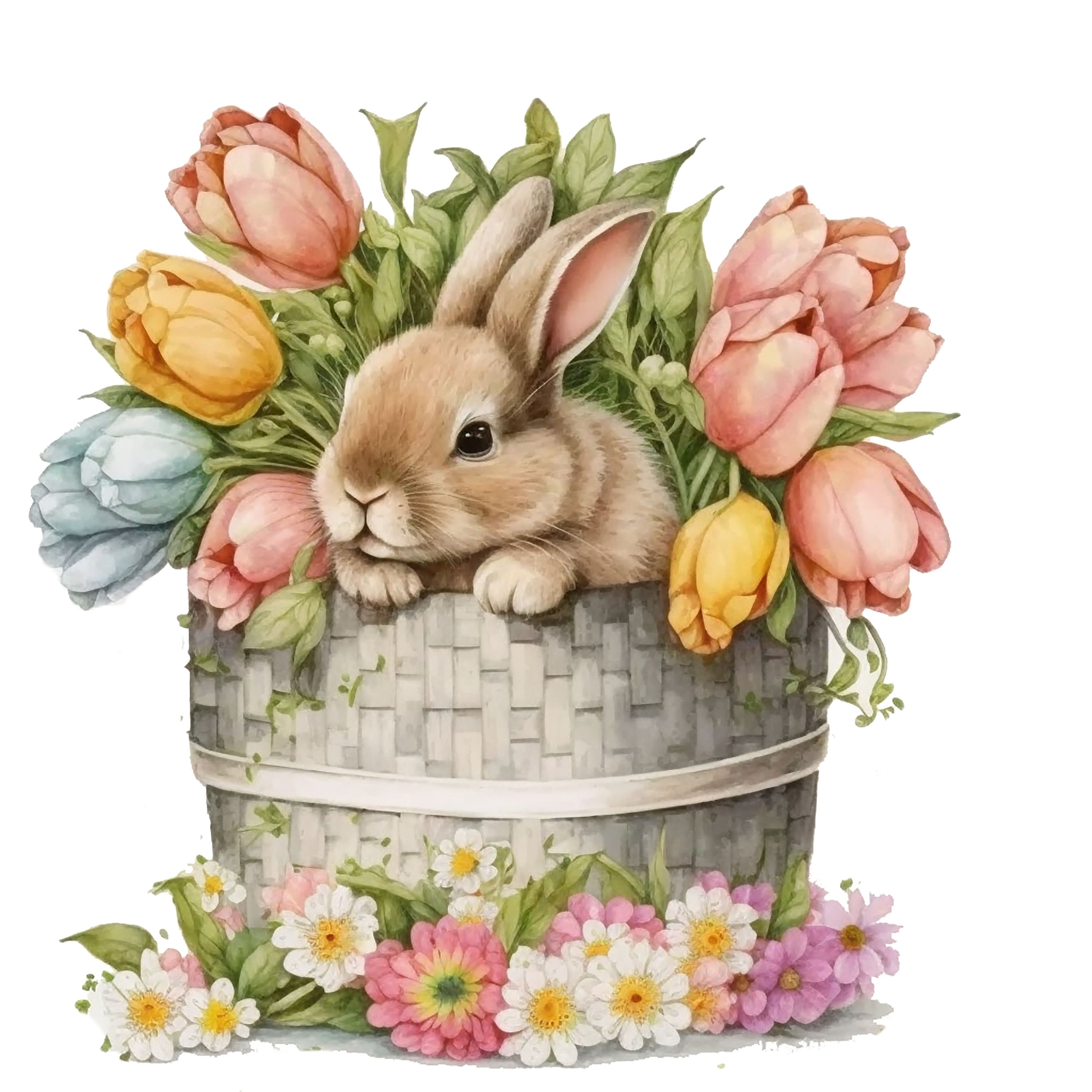 10 Jpgs, Easter Bunny Basket Clipart, Commercial Use, Digital Download ...