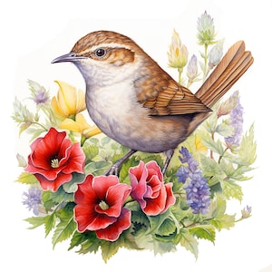 18PNG, Spring Wren Clipart,wrens Flowers Clipart, Watercolor Wrens ...