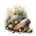 10 Wildflowers and Stones Clipart, Floral Clipart, Jpgs, Commercial Use ...