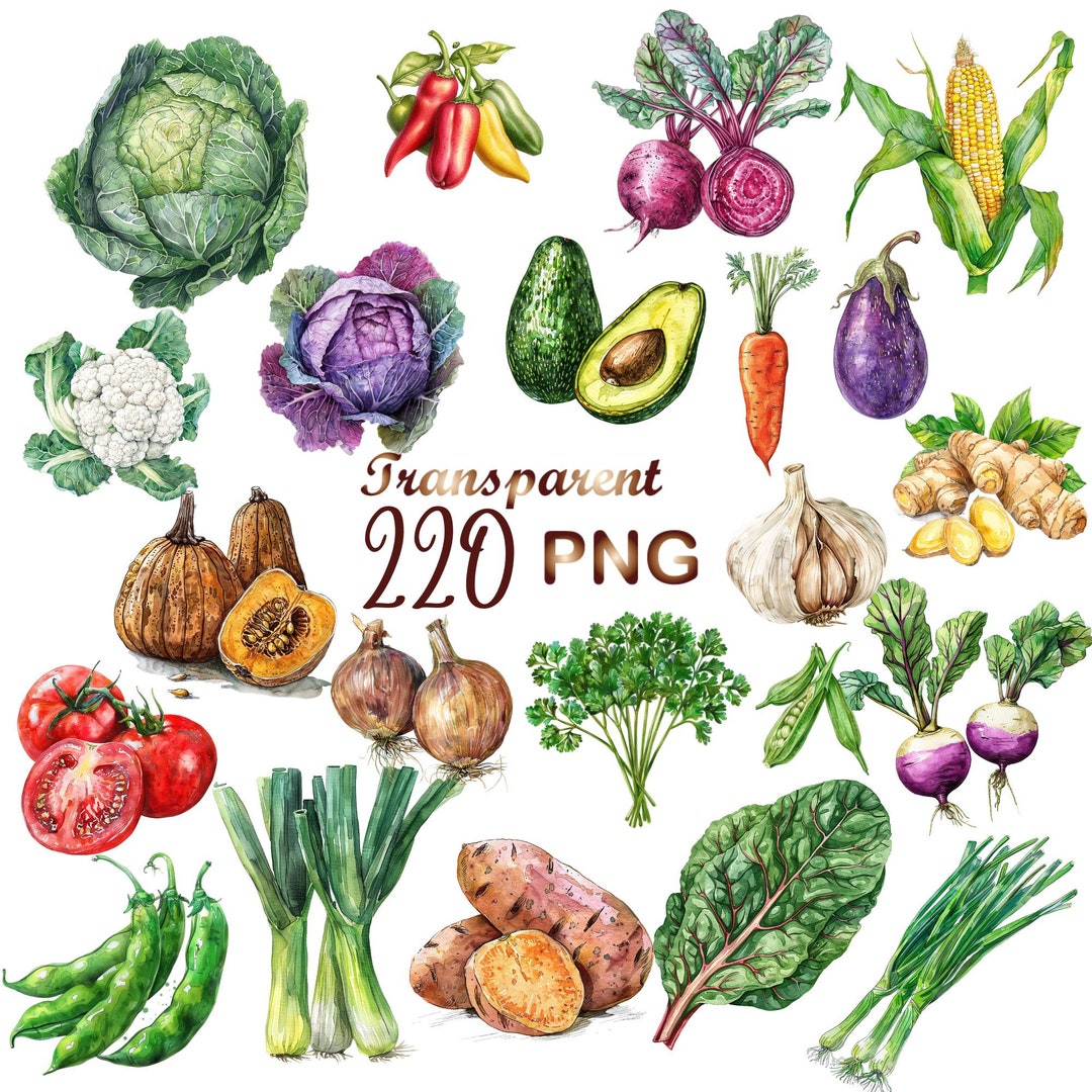 220 PNG, Watercolor Salad Days Clipart Bundle, Vegetarian Food ...