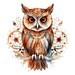 15 Boho Owl Watercolor Clipart Jpgs, Commercial Use, Digital Paper ...