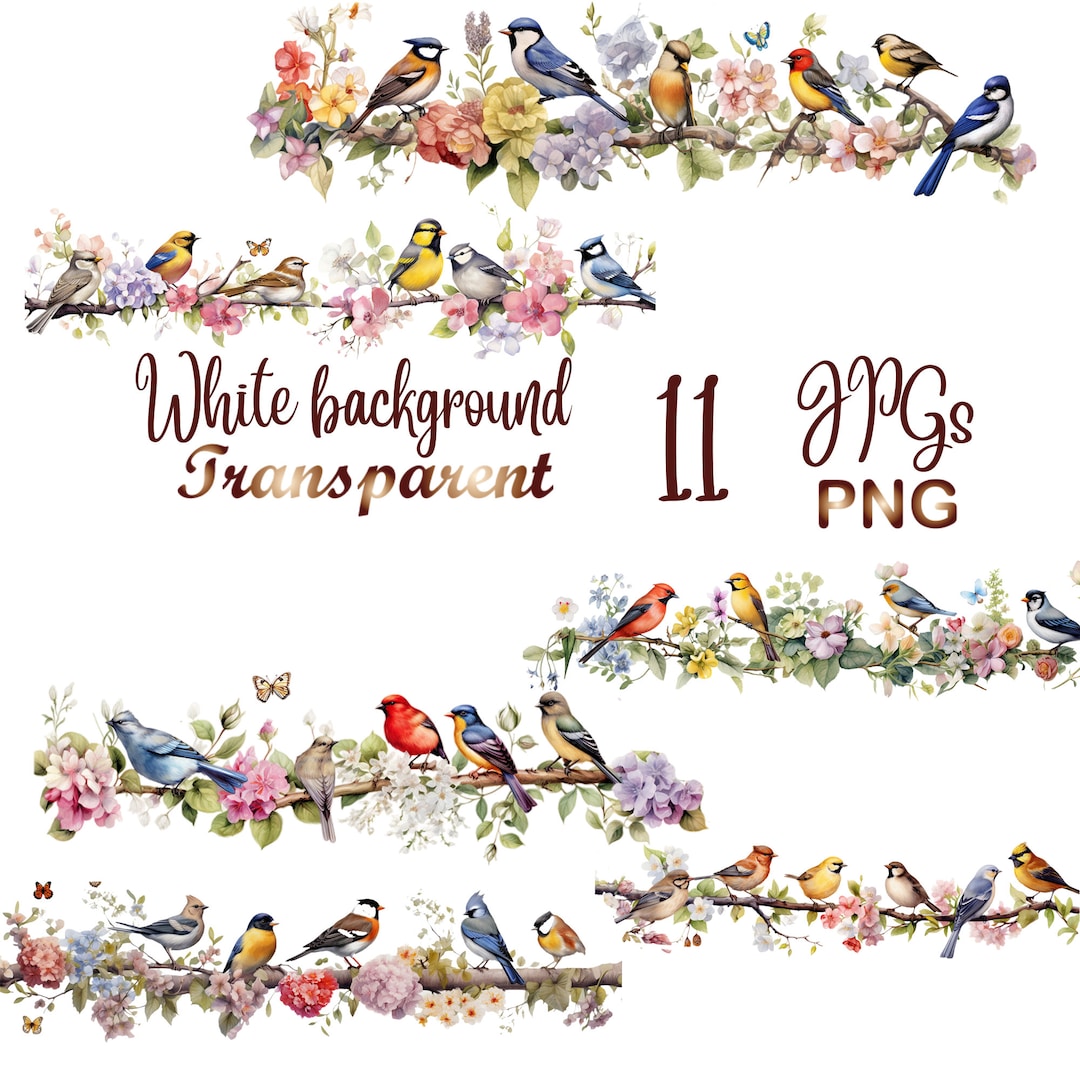 11 PNG/JPG, Watercolor Flower Border Clipart Bundle, Bird Border ...