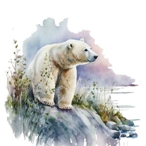 13 Watercolor Polar Bear Clipart, Jpgs, Commercial Use, Digital ...