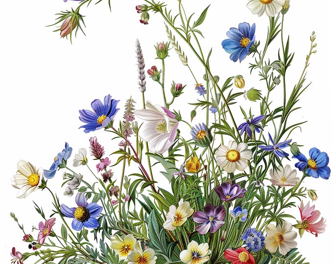 Colorful Floral Wild Flowers Clipart - 17 High Quality Jpgs, Meadow ...