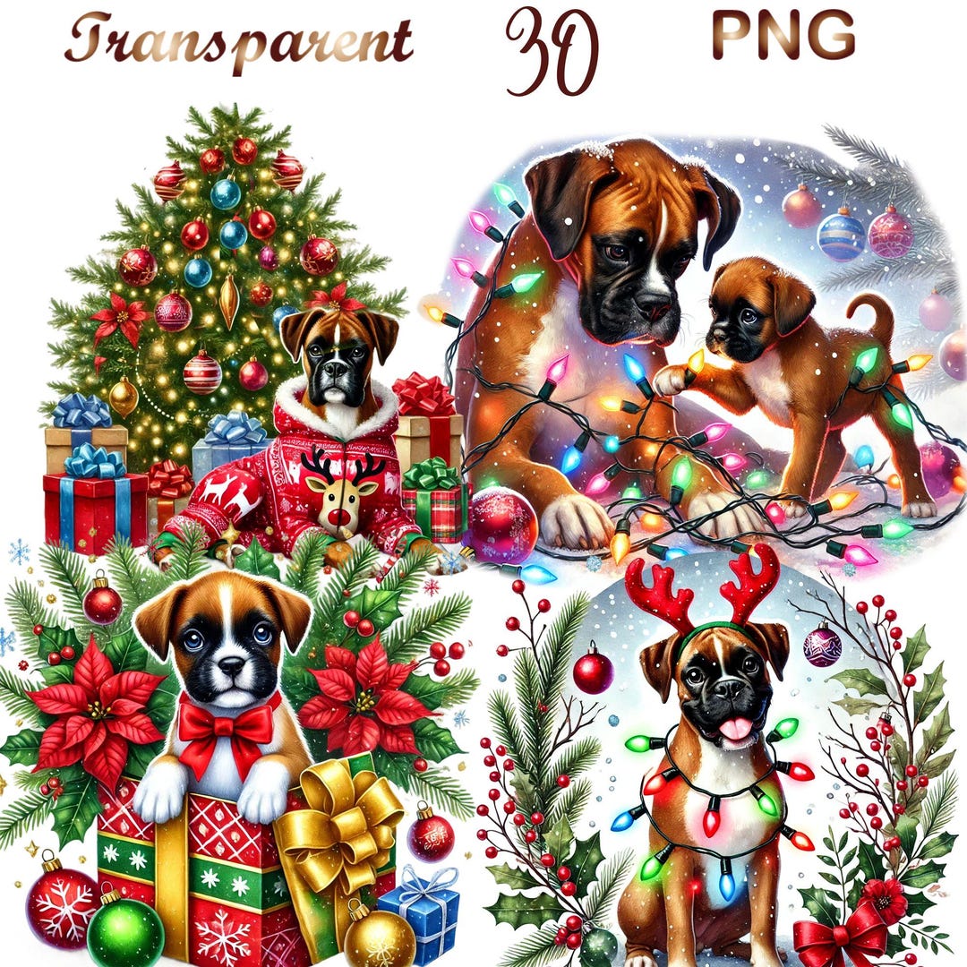 30 PNG, Christmas Boxers Clipart Bundle,festive Dog Illustrations ...