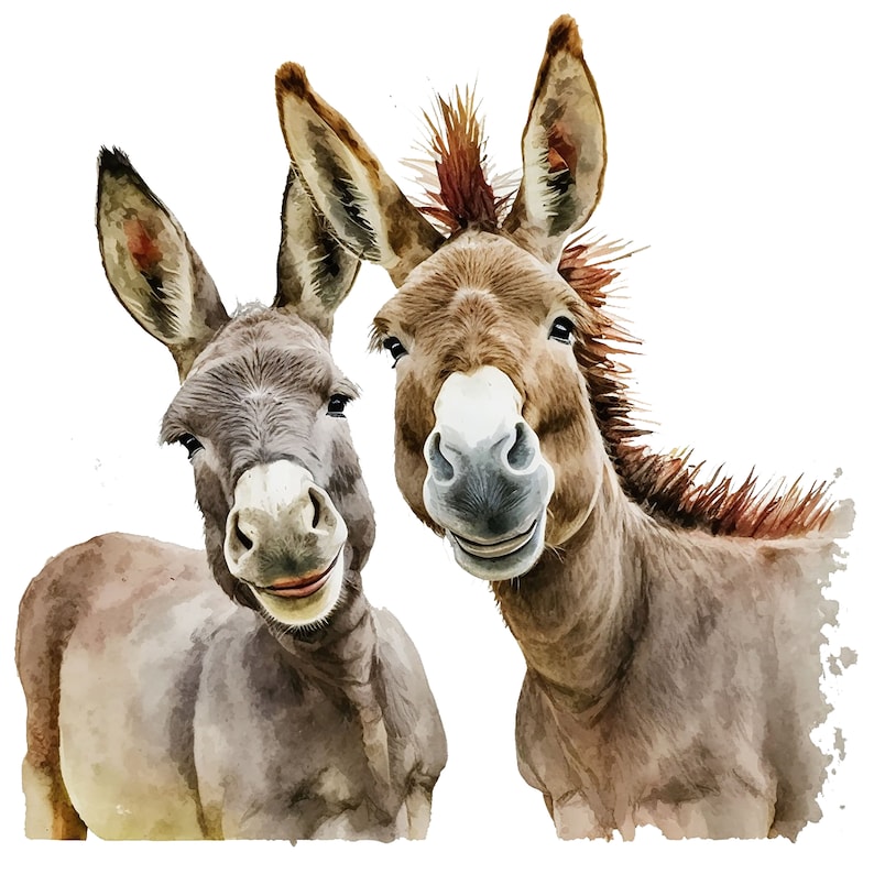 12 Happy Donkeys Clipart Donkey Clipart JPG Commercial - Etsy