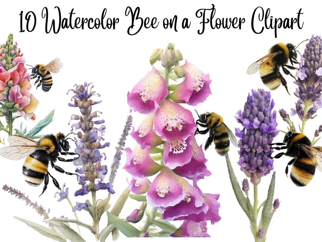 10 Watercolor Bee Clipart, Bee on a Flower Clipart, Jpgs,digital ...