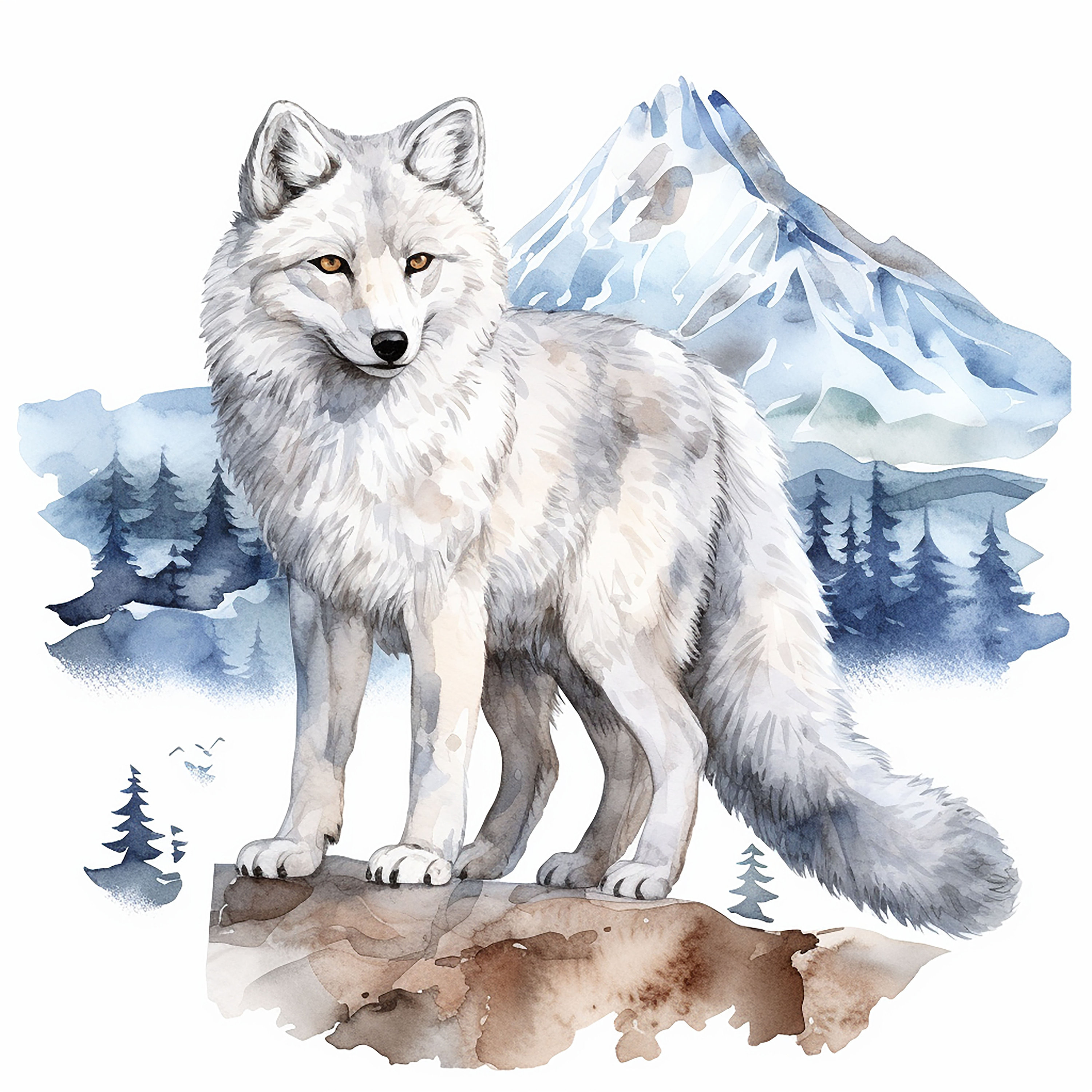 19 Winter Arctic Fox Clipart Jpgs, Printable Watercolor Clipart, Winter ...