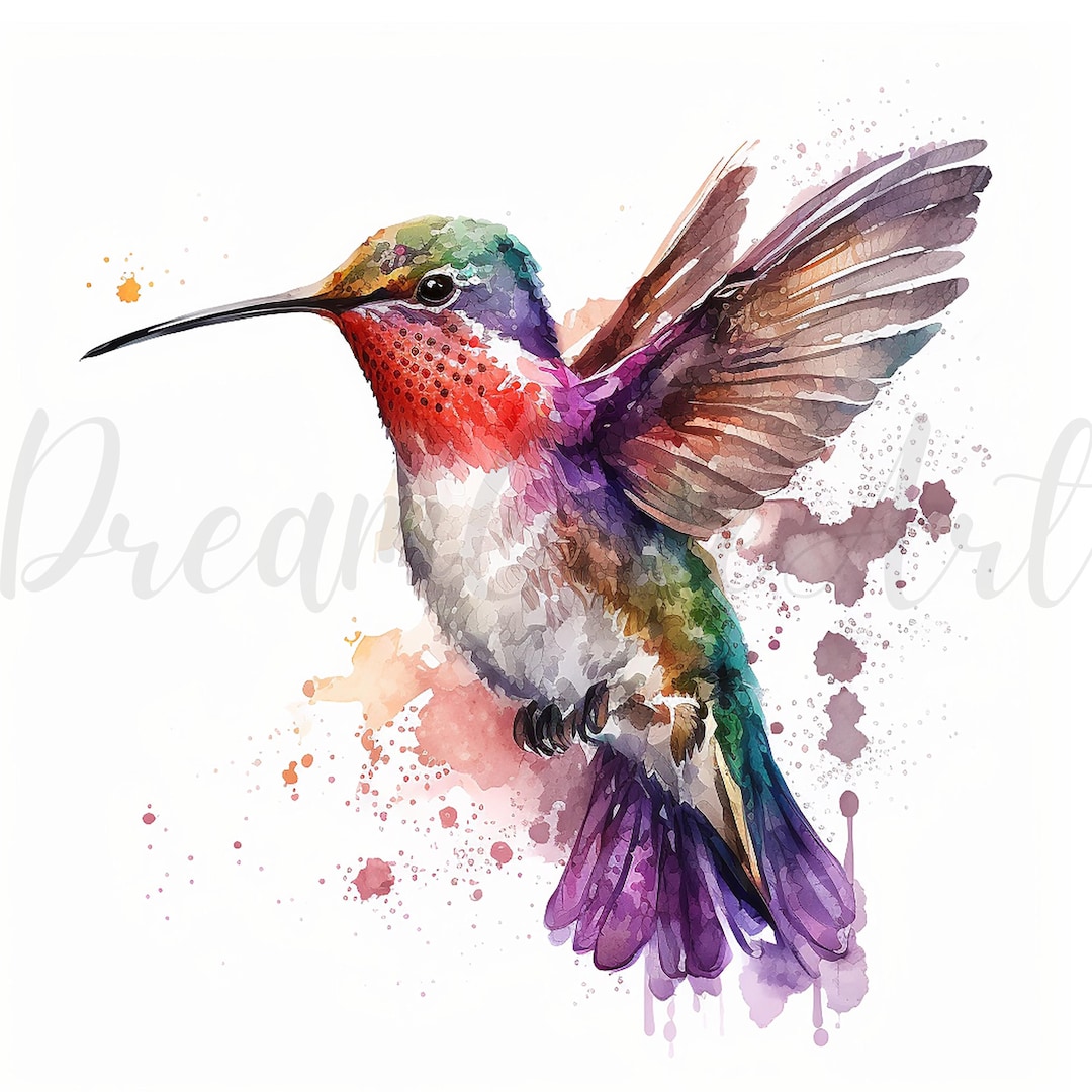 10 Hummingbird Png, Hummingbird Clipart, Hummingbird Art, Hummingbird ...