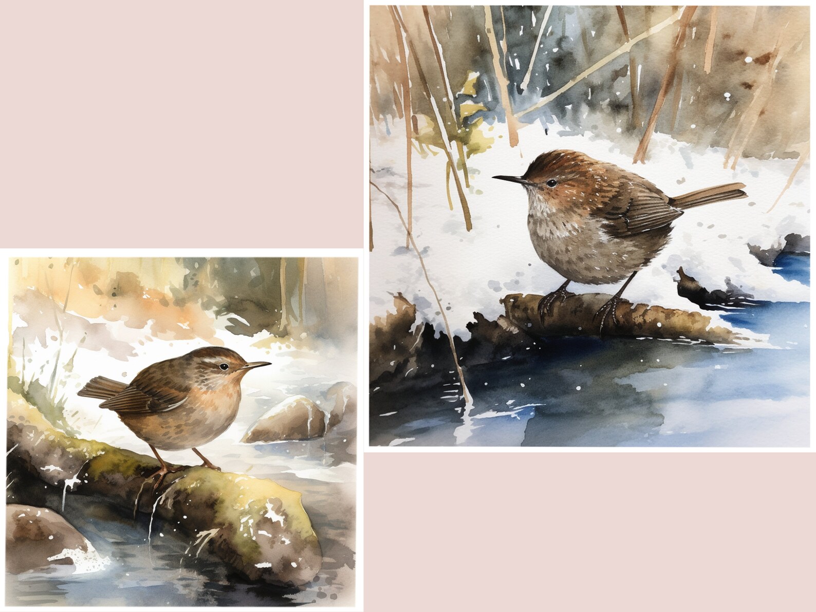 10 Wren Clipart, Wren PNG, Bird Robin PNG, Wren Sublimation, Bird ...