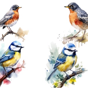 40 Watercolor Bird Clipart, Jpgs, Bird Clipart, Watercolor Bird ...