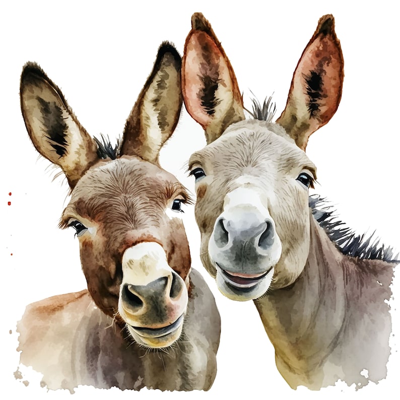 12 Happy Donkeys Clipart Donkey Clipart JPG Commercial - Etsy UK