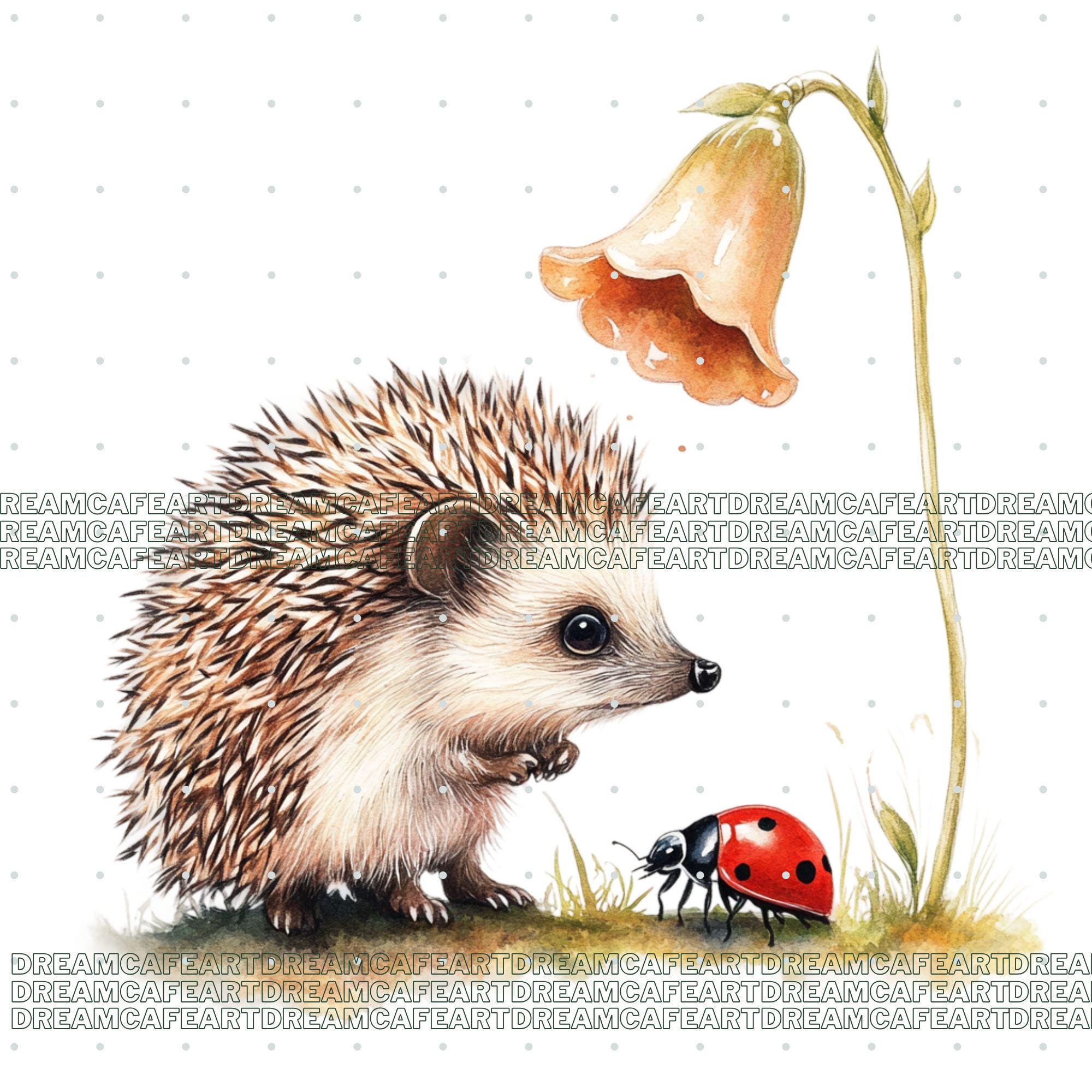 160 PNG Hedgehog Clipart Bundle, Cute Hedgehog Graphics, Illustrations ...
