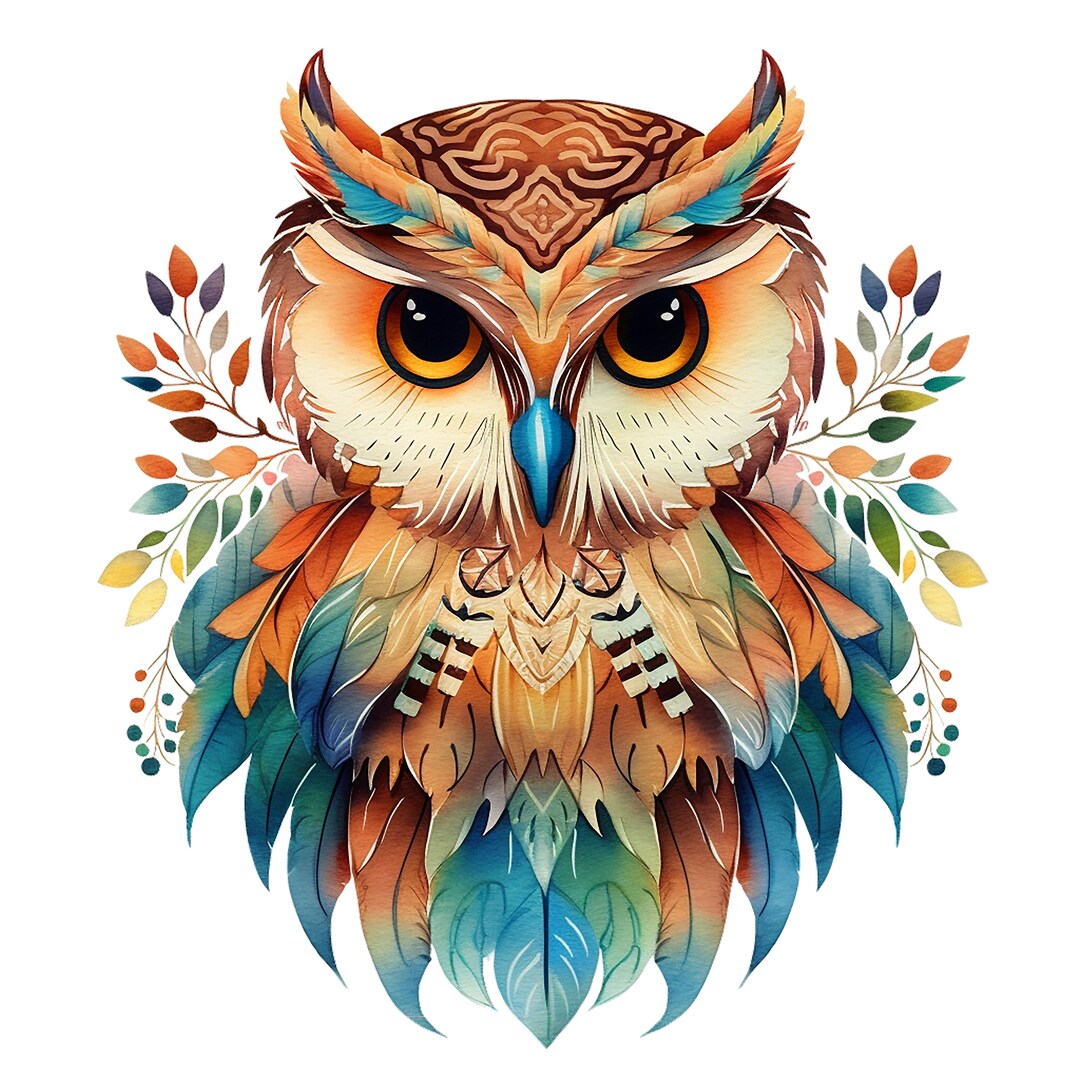 15 Boho Owl Watercolor Clipart Jpgs, Commercial Use, Digital Paper ...