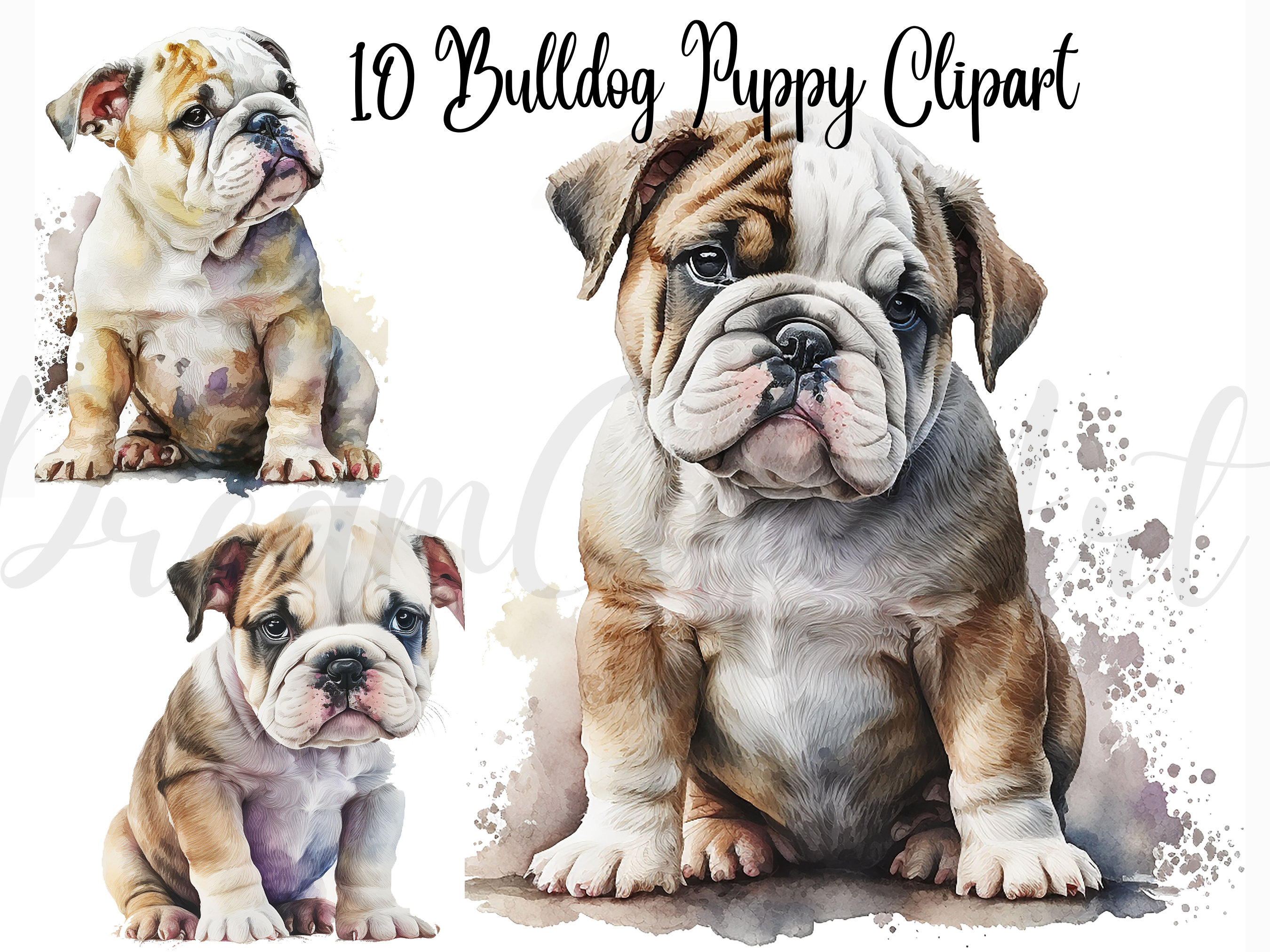 Bulldog Puppy Clip Art