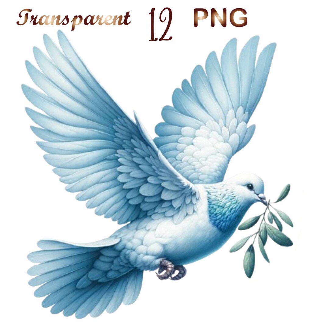 12 PNG, Dove Clipart,dove in Flight,dove With Olive Branch,dove ...