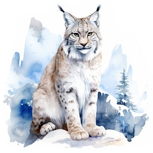20 Winter Lynx Clipartjpgs, Printable Watercolor Clipart, Winter Arctic ...