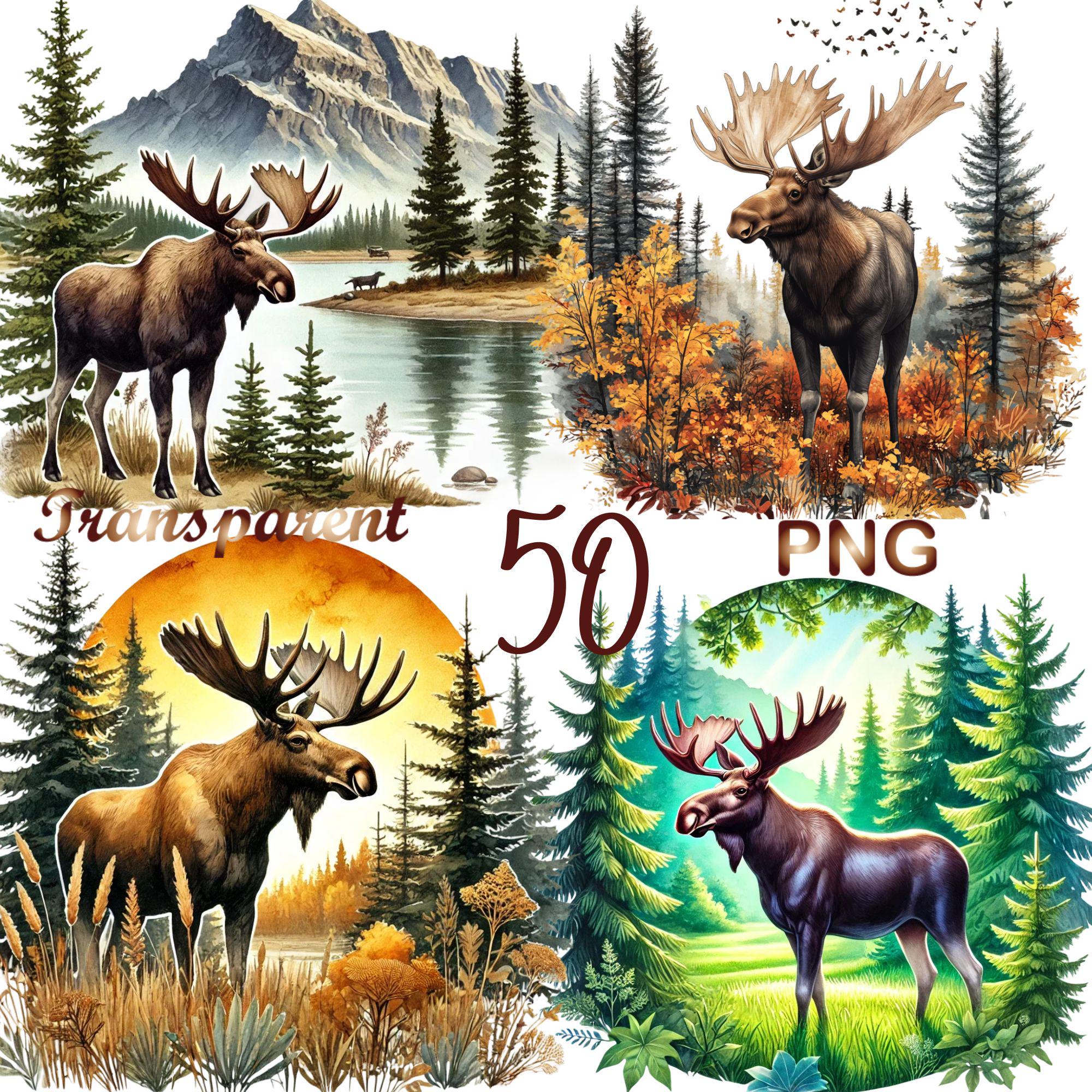 50 PNG Moose Clipart Bundle | Moose Drawing Graphics | Digital Download ...