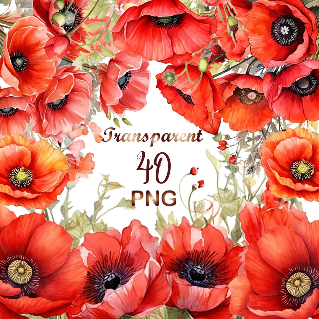 40 Watercolor California Poppy сlipart PNG, Floral Wreath, Floral ...