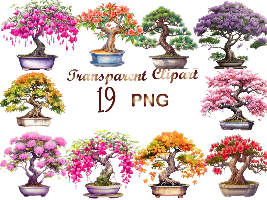 19 Watercolor Bonsai Tree Clipart Png, Bonsai Png, Sublimation, Digital ...