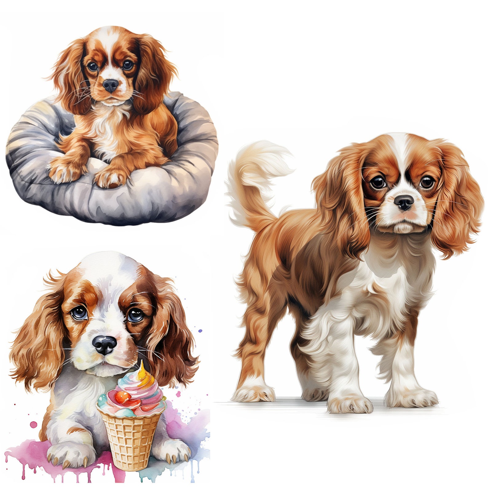 80 Jpgs, Cavalier King Charles Spaniel Puppy Clipart Watercolor ...