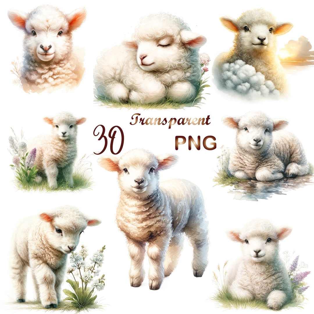 30 PNG Baby Lamb Clipart Bundle,lamb Clipart,baby Animals Clipart,farm Animals Clipart,baby ...
