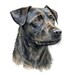 10 Patterdale Terrier Clipart High Quality Jpgs Commercial - Etsy UK