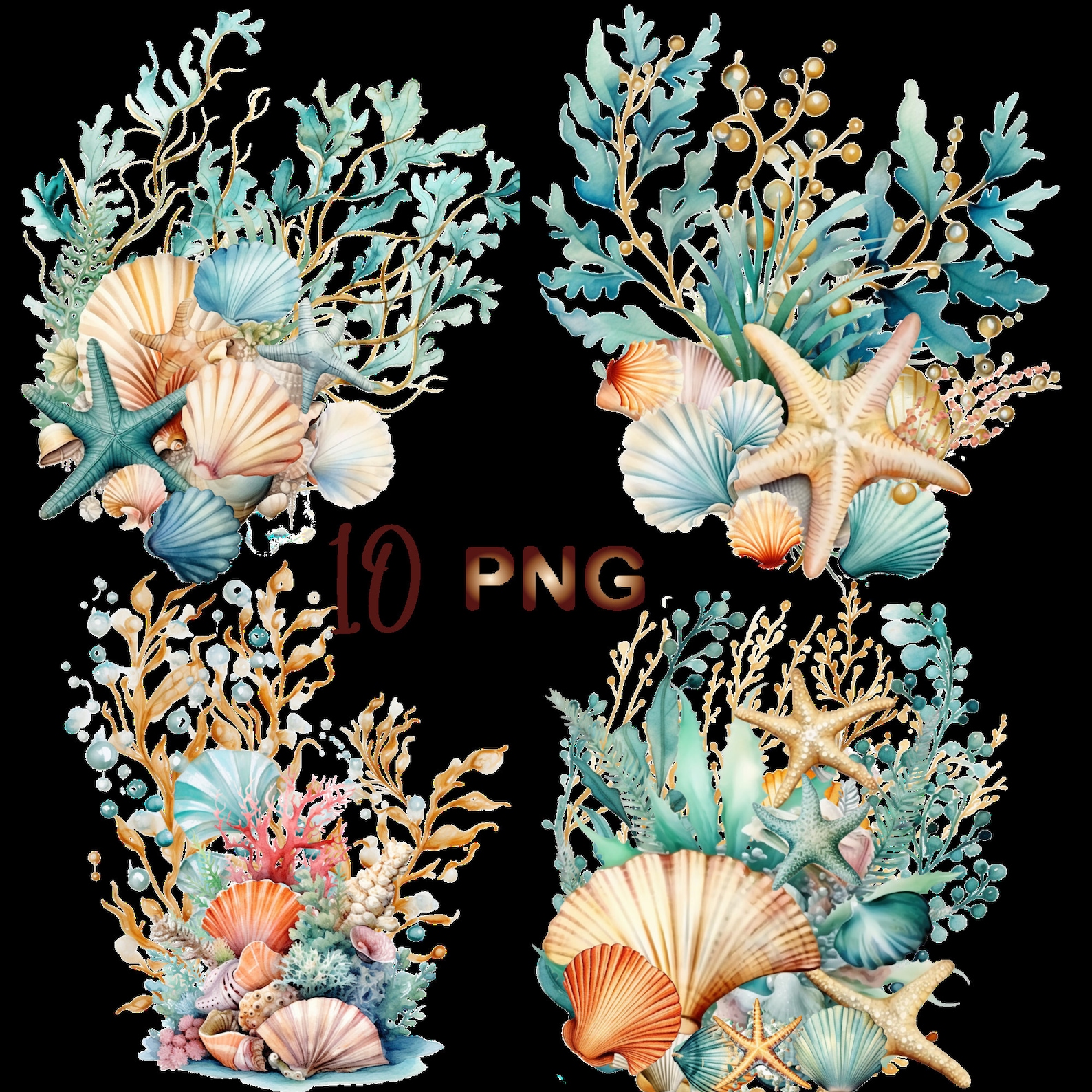 10 Watercolor Seashell Clipart PNG, Beach Clipart, Nautical Clipart ...