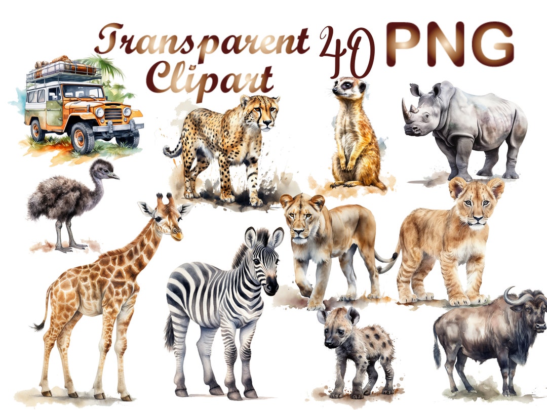 40 Safari Animals Png, Safari Animal Png, Safari Baby Animals Png ...