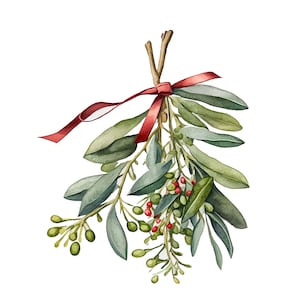 10 Mistletoe Clipart, Christmas Clipart, Jpgs, Commercial Use, Digital ...