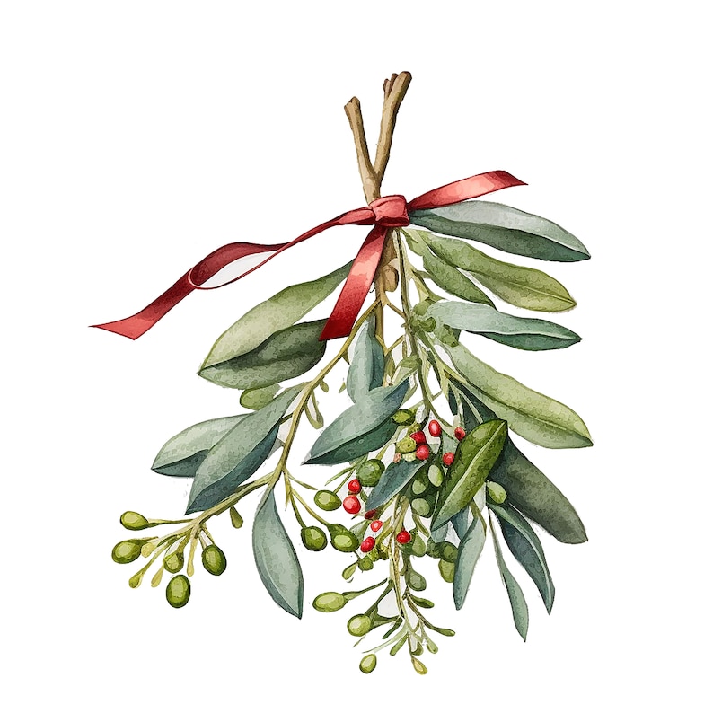 10 Mistletoe Clipart Christmas Clipart Jpgs Commercial Use - Etsy