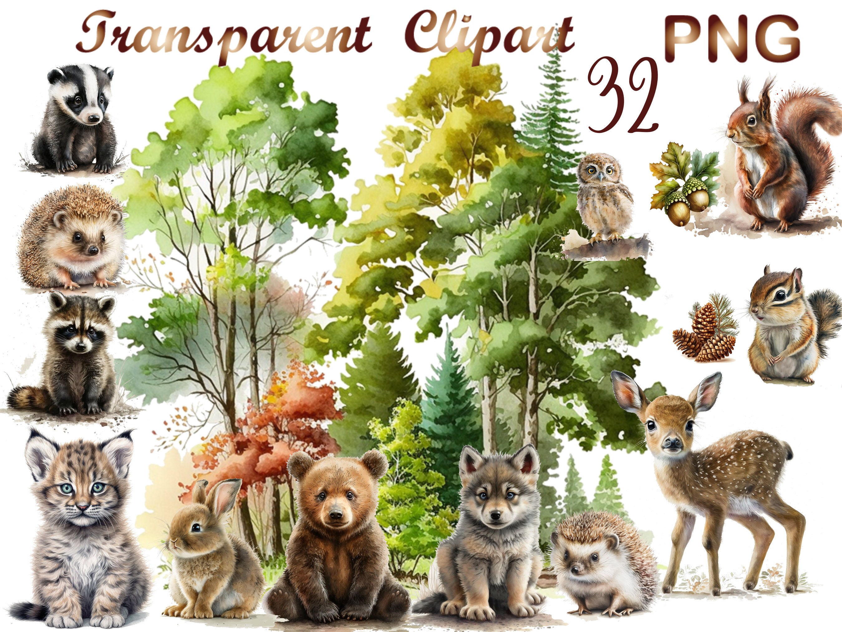 Forest Animals Clipart With Transparent Background