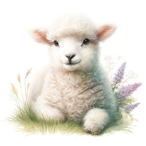 30 Jpgs Baby Lamb Clipart Bundle,lamb Clipart,baby Animals Clipart,farm ...