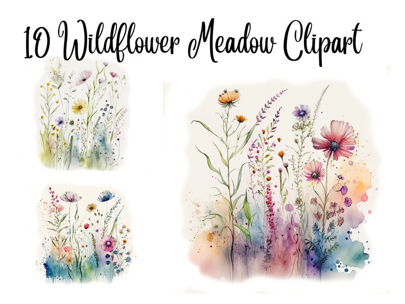 10 Wildflower Meadow Clipart, Watercolor Clipart,flowers Clipart ...