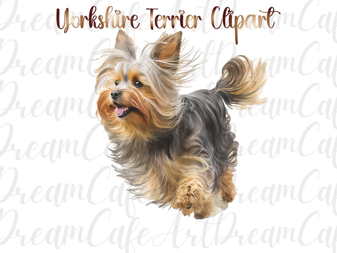 Watercolor Running Yorkie Pngyorkshire Terrier Pngyorkshire - Etsy