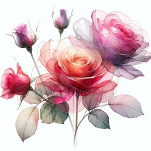 22 Jpgs, Abstract Roses Clipart Bundle, Dried Flowers, Printable ...