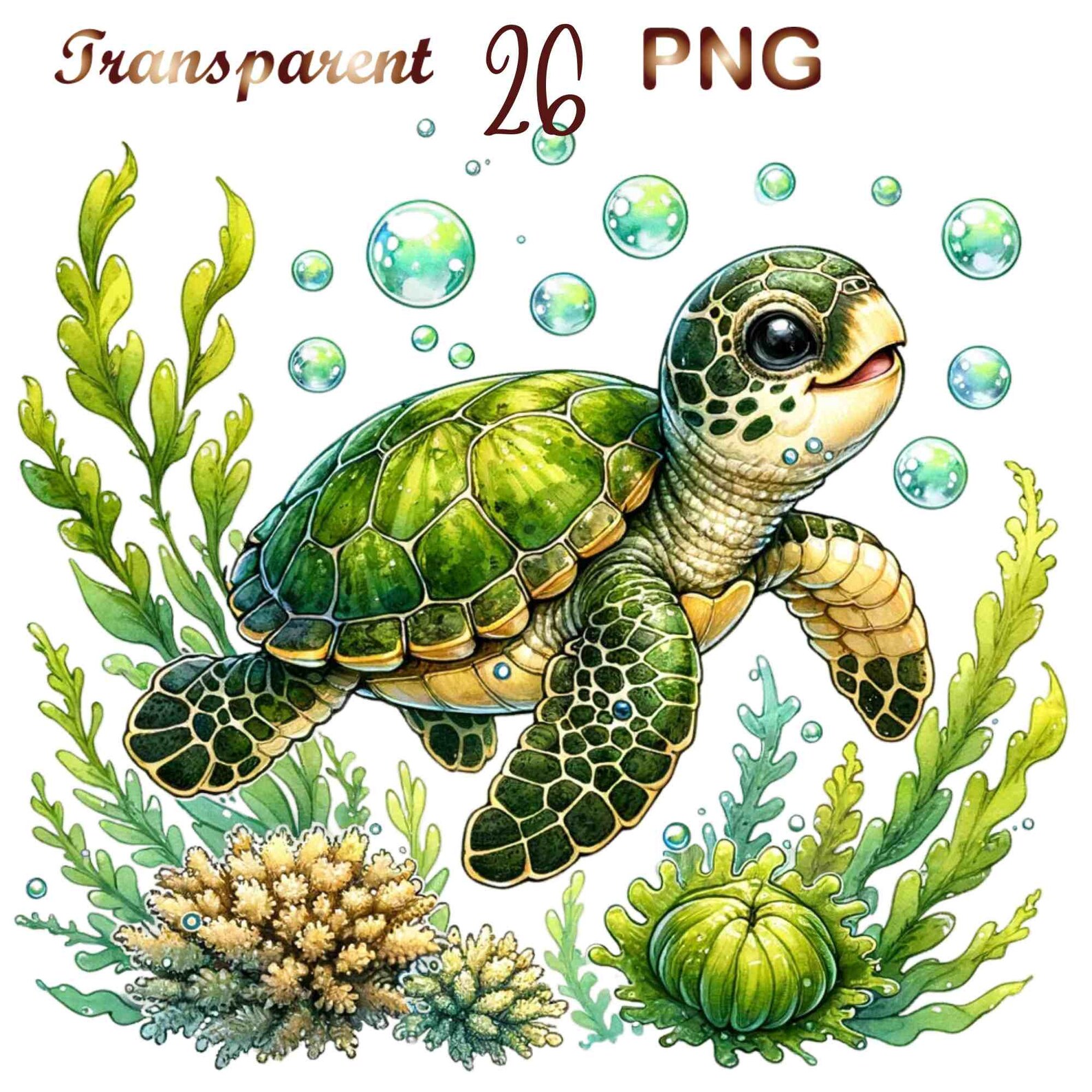 26 Baby Turtle Png,turtle Png,turtle Sublimation,sea Turtle Png,turtle ...