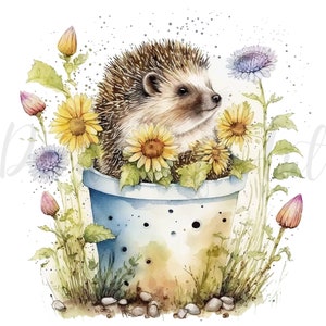 6 Floral Hedgehog Jpgs, Set 3, Commercial Use, Digital Download, Card ...