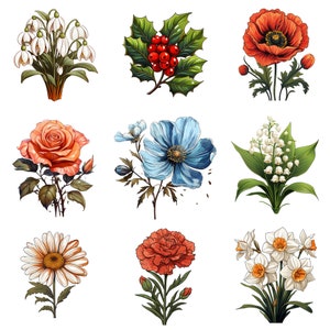65 Birth Month Flowers Clipart, PNG, Set Watercolor, Watercolor Floral ...