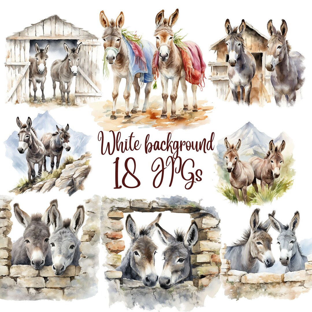 18 Happy Donkeys Clipart, Donkey Clipart, JPG, Commercial Use,digital Download, Card Making ...