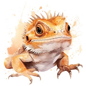 20 Watercolor Bearded Dragon Clipart, Jpgs, Bearded Dragon, Digital ...