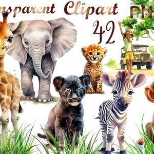 42 PNG Watercolor Safari Animals Clipart Bundle, Nursery Clipart ...