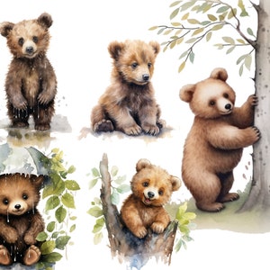 Watercolor Baby Bear Clipart, PNG, Clipart Bear, Woodland Animals, Cute ...